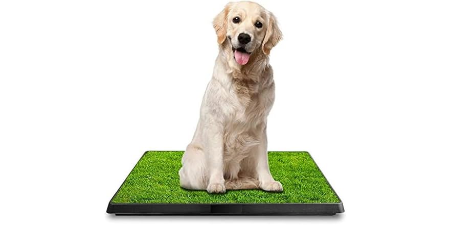 iMounTEK Grass Patch for Dogs, Artificial Grass