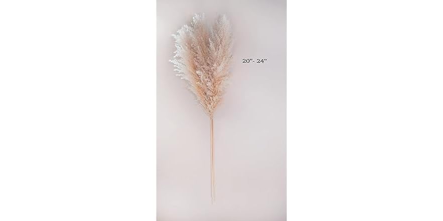 Lunch Box Heroes Pampas Grass Large