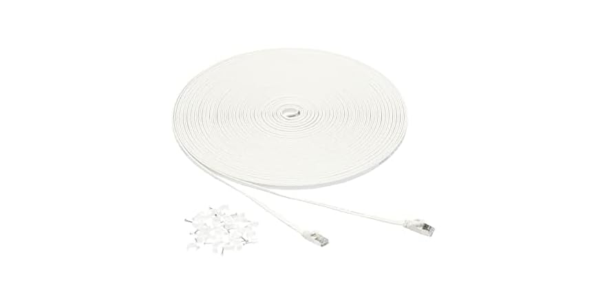 Amazon Basics RJ45 Cat 7 100' Ethernet Cable