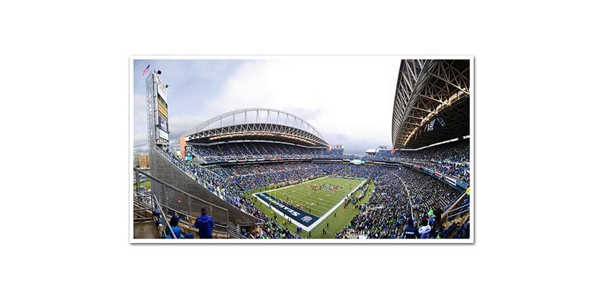 NFL 36x20 Stadium Posters
