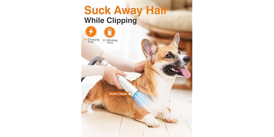 AIDIAM W019 3-Mode Dog Grooming Vacuum (Open Box)