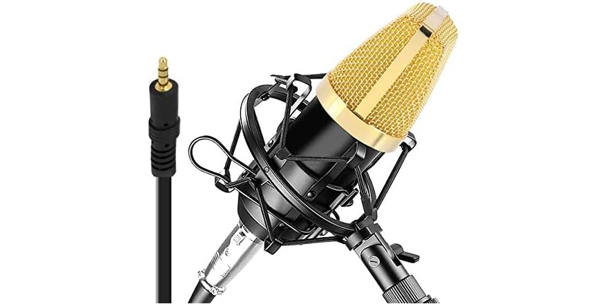 Recording Microphone