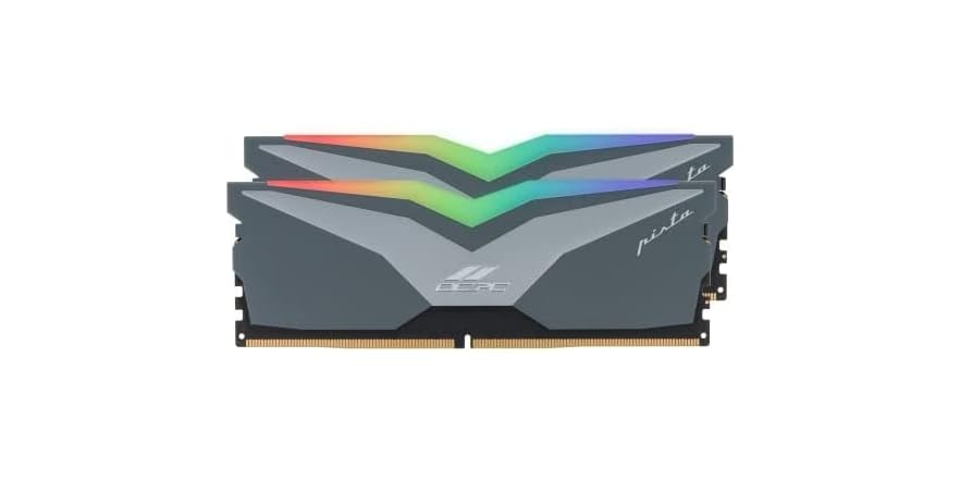VisionTek OCPC Xtreme Pista DDR5 RAM