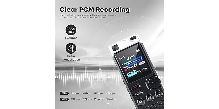 Professional Digital Voice Recorder | 264GB