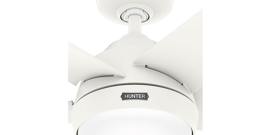 52" Hunter Fan w/ Light Kit and 5-Blades