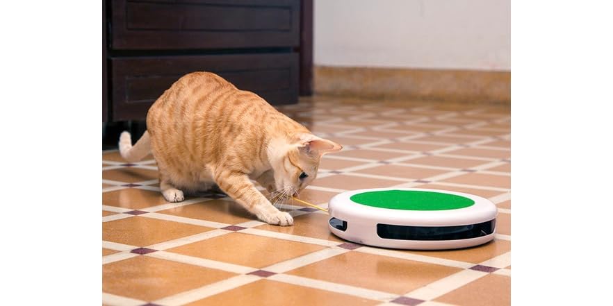 Flicky Tricky Interactive Cat Teaser Toy