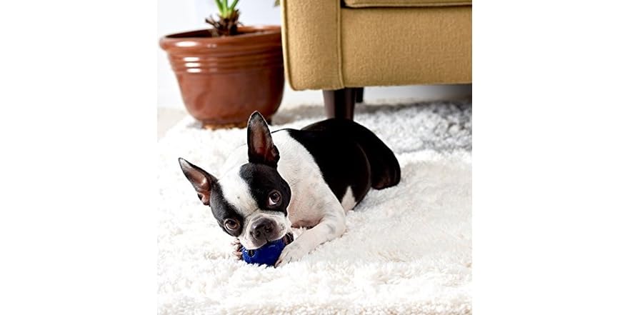 Rocco and Roxie Dog Toys Tough Ball