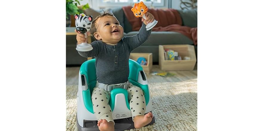 Baby Einstein Dine & Discover Multi-Use Booster