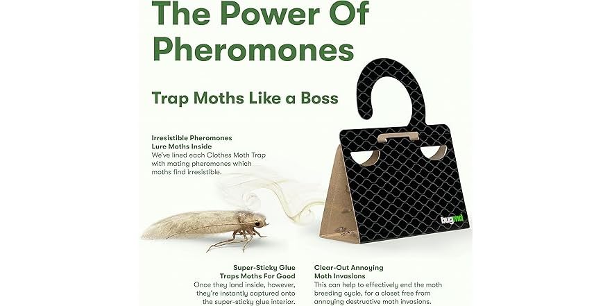 BugMD Clothes Moth Boss Traps- Choose Size & Color