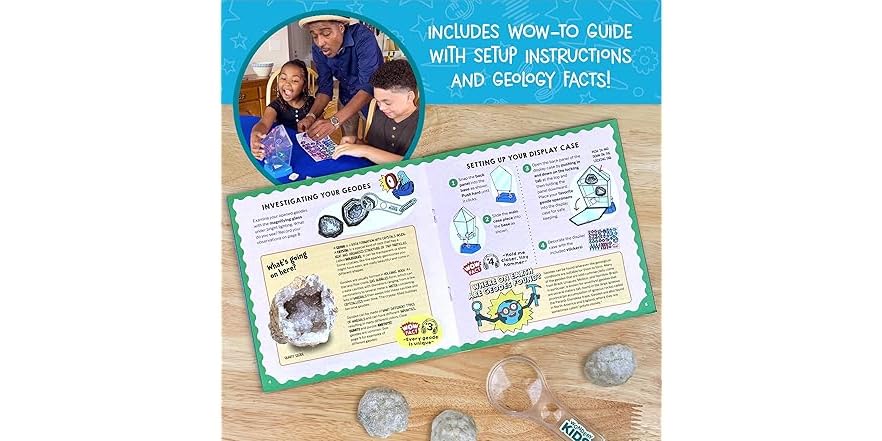 10 Real Break-Open Crystal Geodes with Display Case