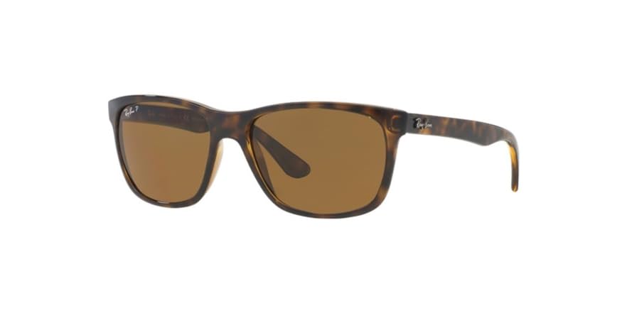 Ray-Ban Unisex 4181 Polarized Sunglasses