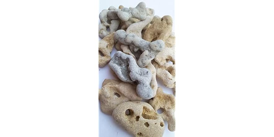 Natural Hag Stone from The Mediterranean