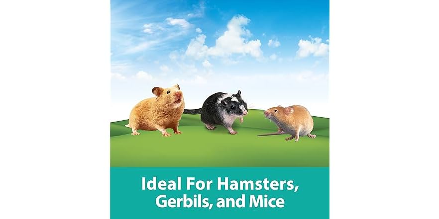 Kaytee CritterTrail Fun-nel 16-Piece Set