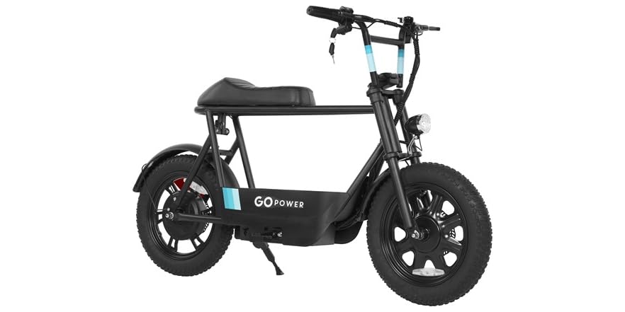 GoPowerBike GoSparky Electric Bike