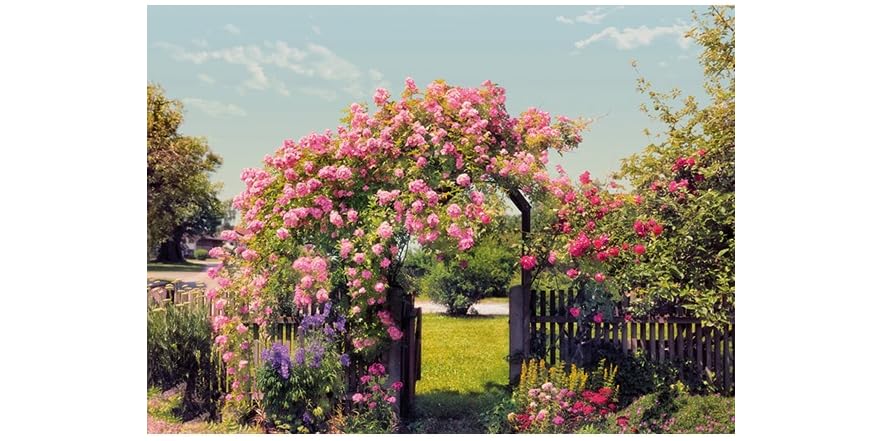 Rose Garden Wall Mural