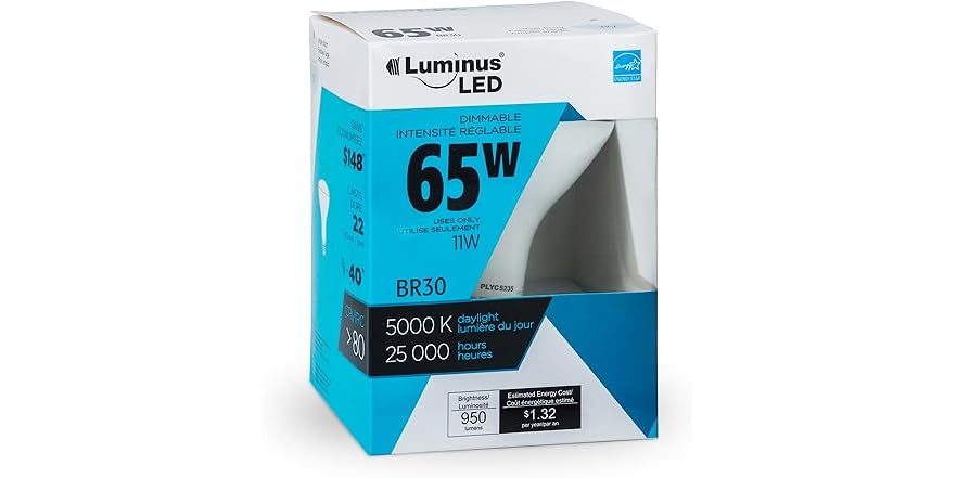 Luminus Light Bulb - 6 Pack