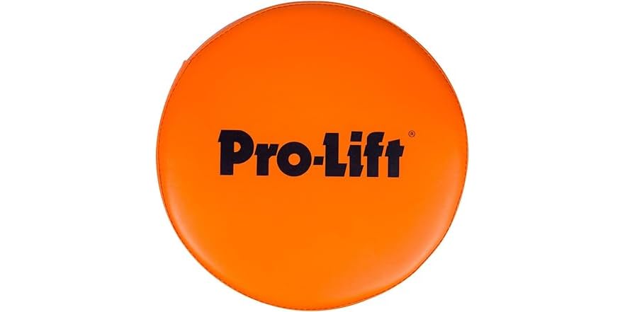 Pro-Lift Pneumatic Chair with 300 lbs Capacity