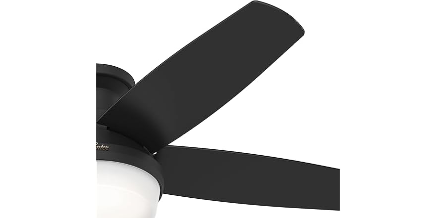 Hunter Fan 48" w/Light Kit and Remote