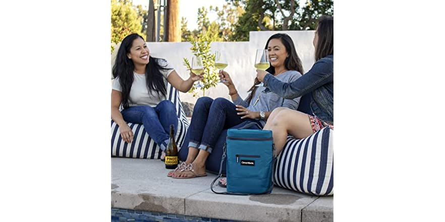 Wine Bottle and 6 Pack Cooler Bag