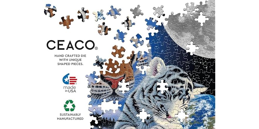 Ceaco Ceaco - Foil Puzzle - Eyes On The Future