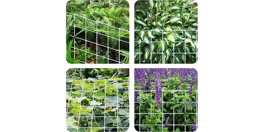iPower Grow Room Trellis Net 4x4