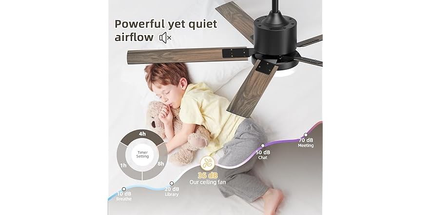 Sky sea Ceiling Fan with Light, Black, 52 inch