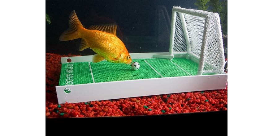 Fish School Training Kit