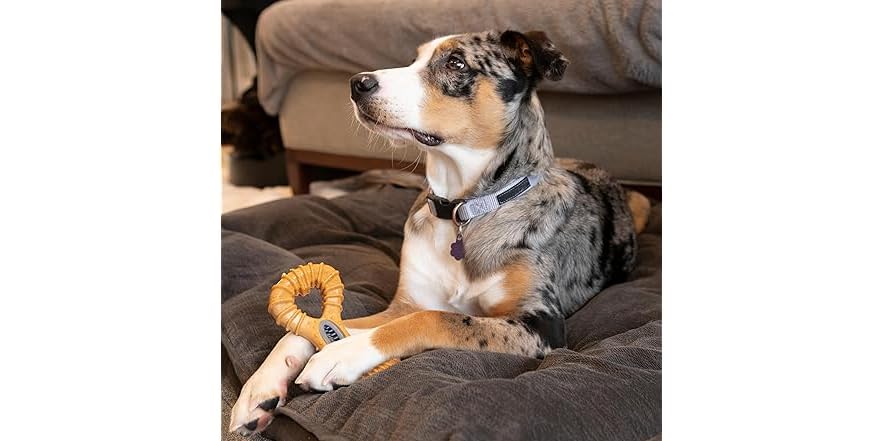 SPOT Bam-Bones Dental Drumstick Dog Chew Toy
