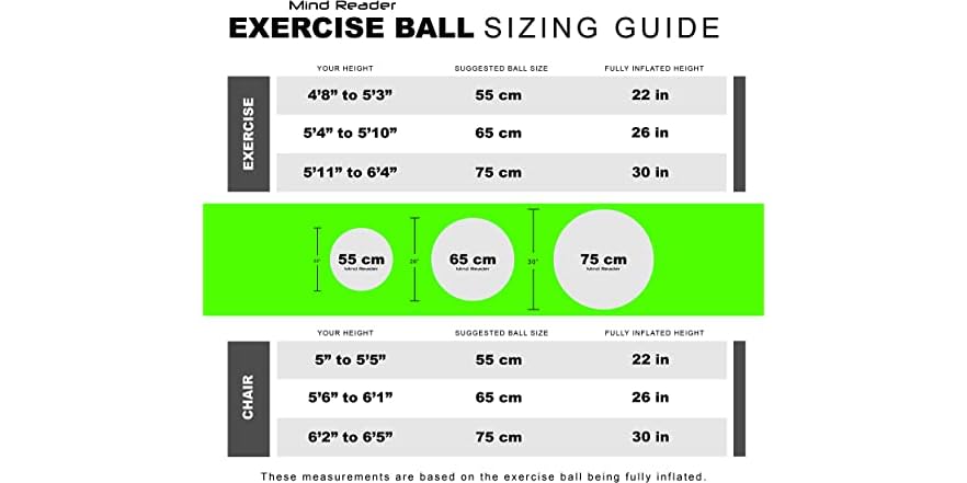 Mind Reader Exercise Ball