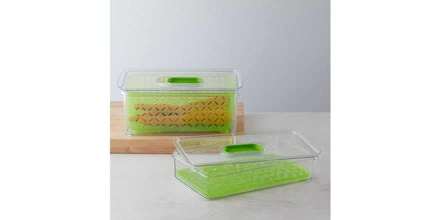 Amazon Basics Produce Food Saving Containers-2PC