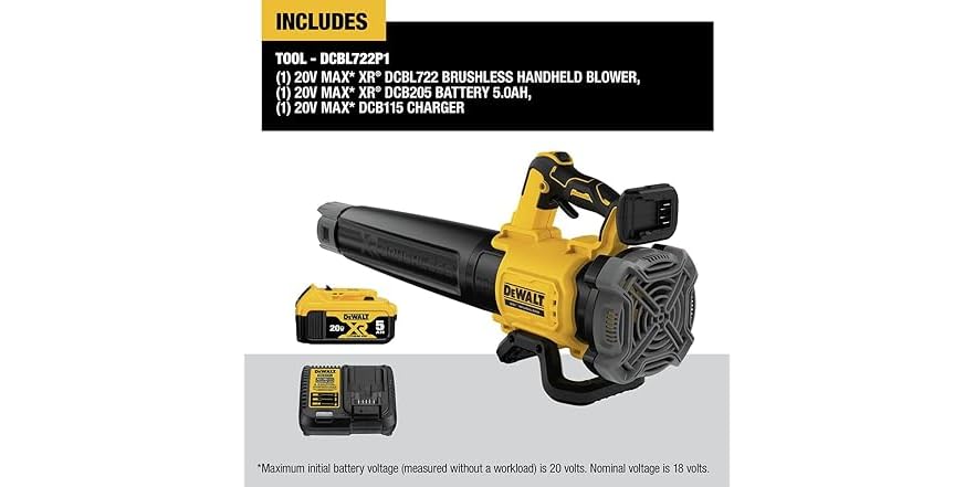 DEWALT DCBL722P1 20V MAX* XR Leaf Blower Kit