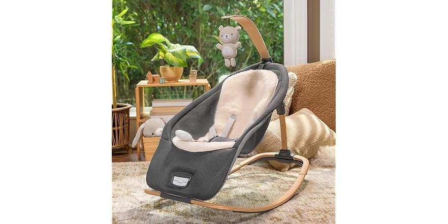 Ingenuity Every Season 2-in-1 Baby Rocker