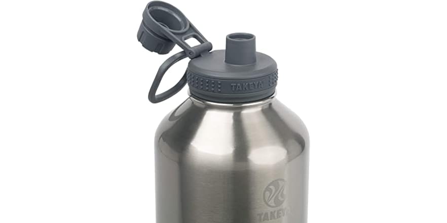 Takeya Insulated Stainless Steel Bottle
