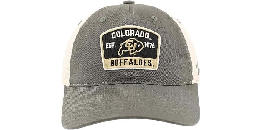 MICHIGAN WOLVERINES Hat Switchback