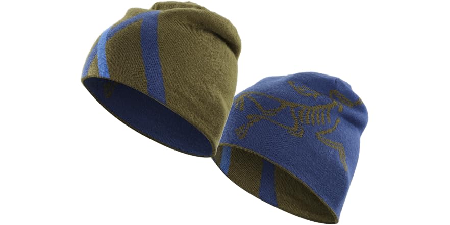 Arc'teryx Arc Mountain Toque