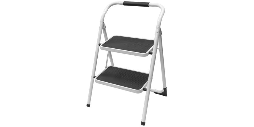 Coleman 2-Step Steel Ladder