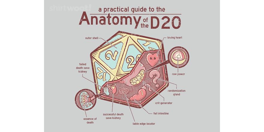 Anatomy of the D20