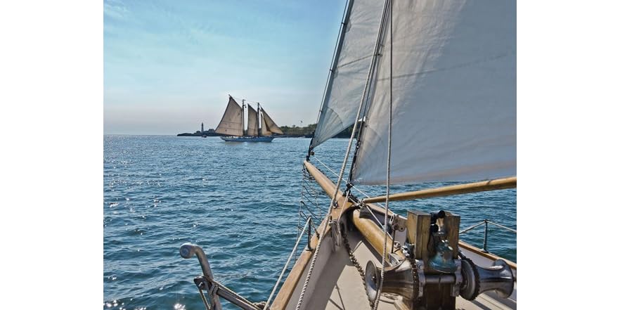Sailing Wall Mural