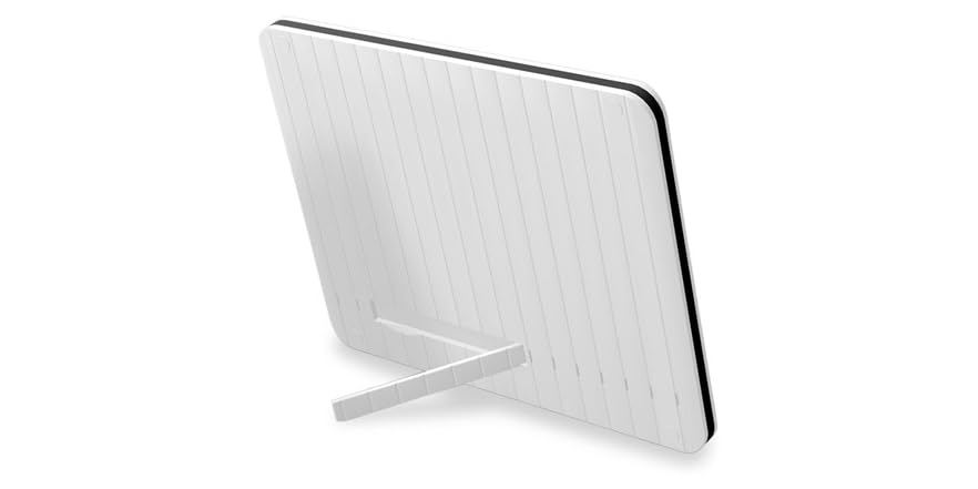 7" Color eReader with Android 2.1 - White