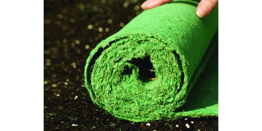 Butterfly Garden Seed Mat