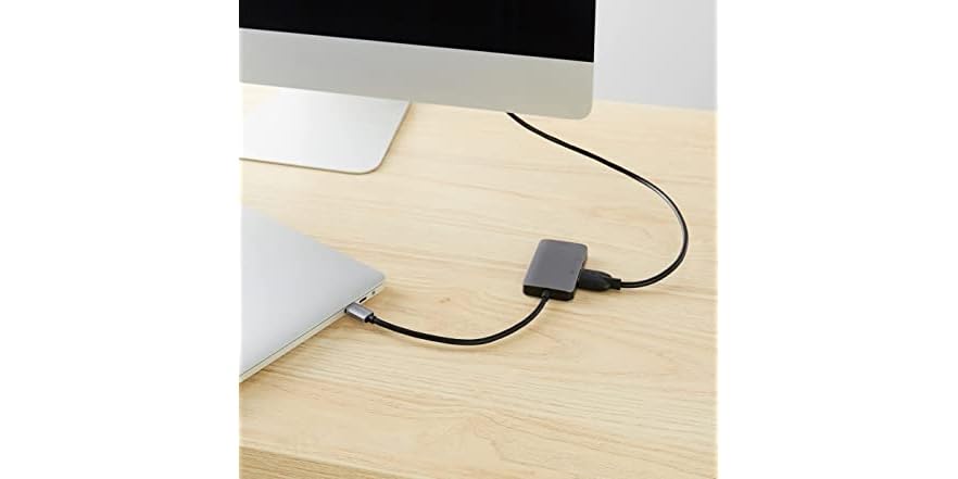 Amazon Basics Adapter