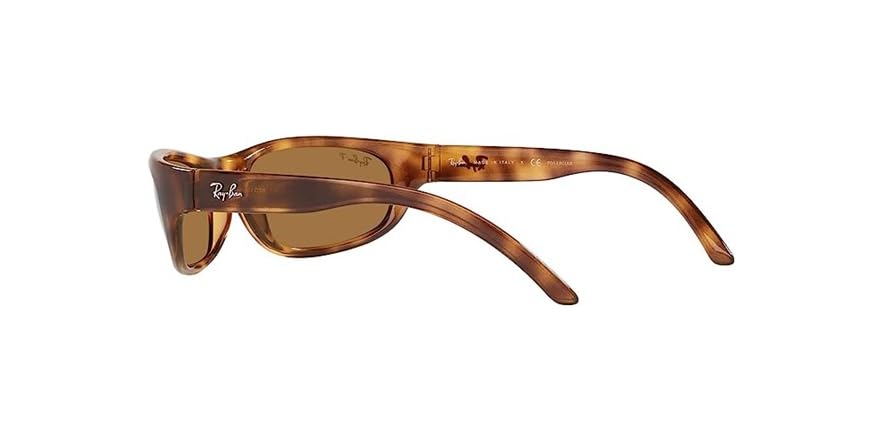 Ray-Ban Unisex Polarized Predator Sunglasses