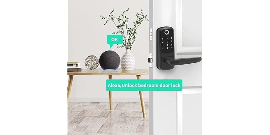 Alexa Door Locks for Front Door