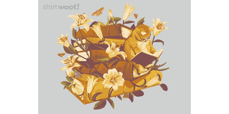 Lily Kitty