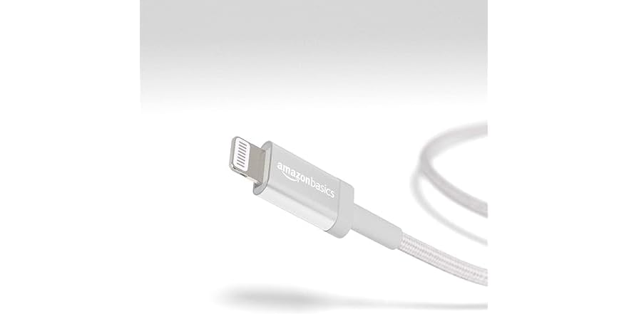 Amazon Basics USB-C to Lightning Charger