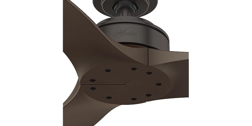 52" Hunter Fan Casual Indoor Fan, CC51414