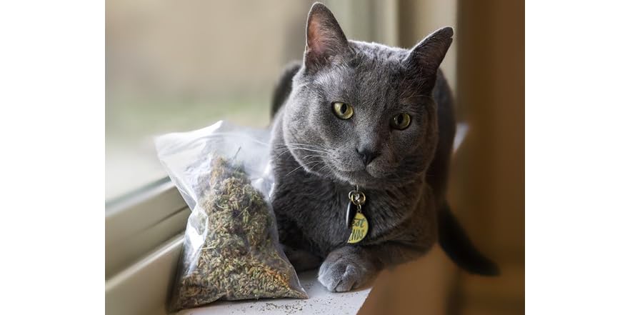 Meowijuana® Bag of Buds