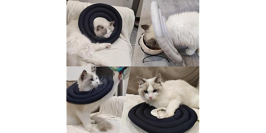 Cat Donut Cone Collar Soft