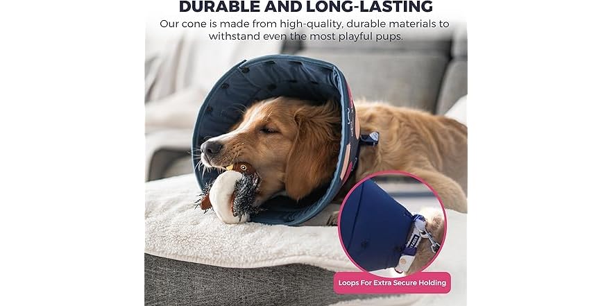 Ejona's furryfamily Dog Cone Collar