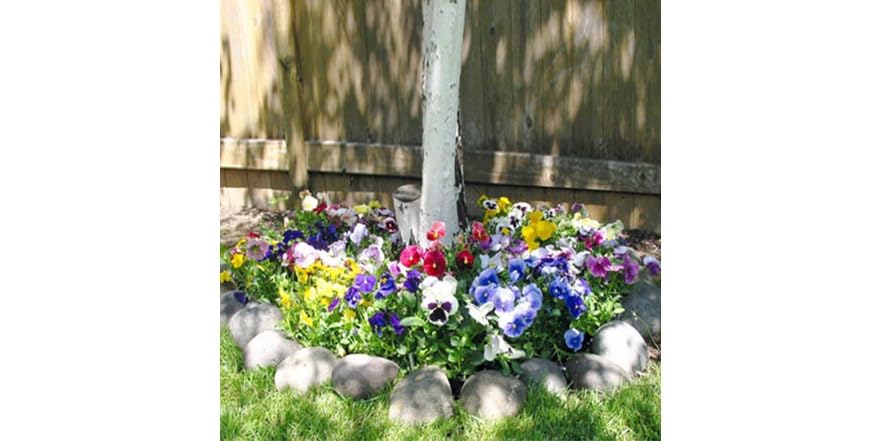 Tree Border Roll Out Flower Gardens